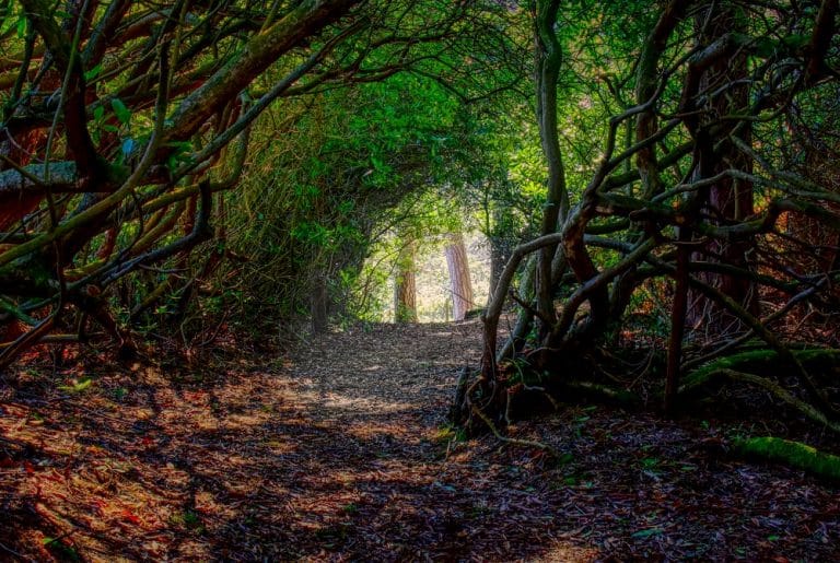 13 Spooky Places in Scotland that Prove Just How Creepy it Can Be ...