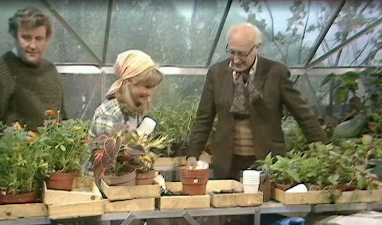 What is an Allotment in the UK? - I Heart Britain